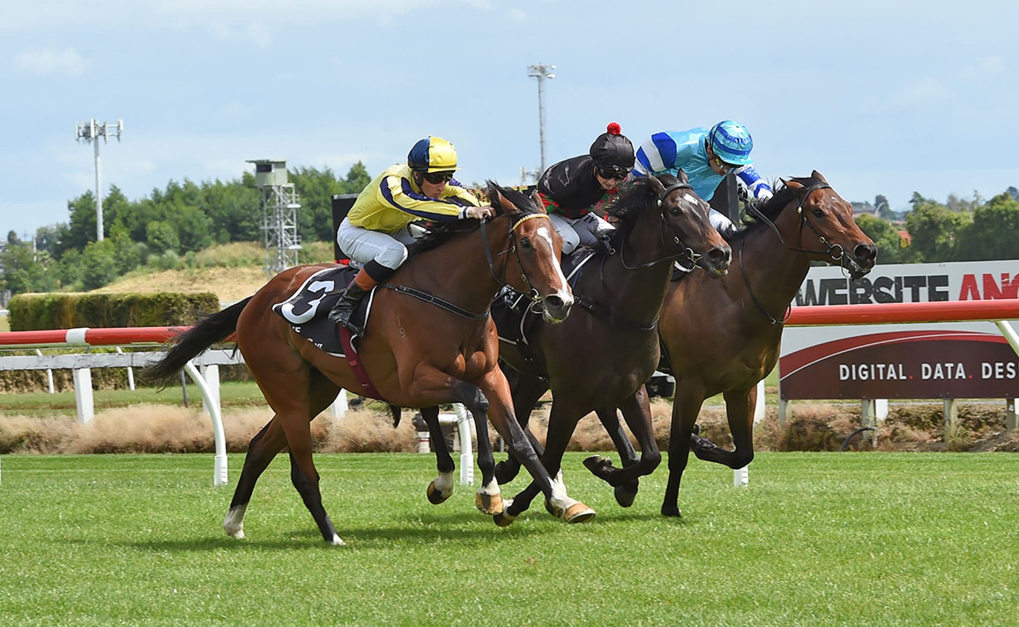 O'Sullivan & Scott Hold Strong Hand Ahead Of Waikato Guineas