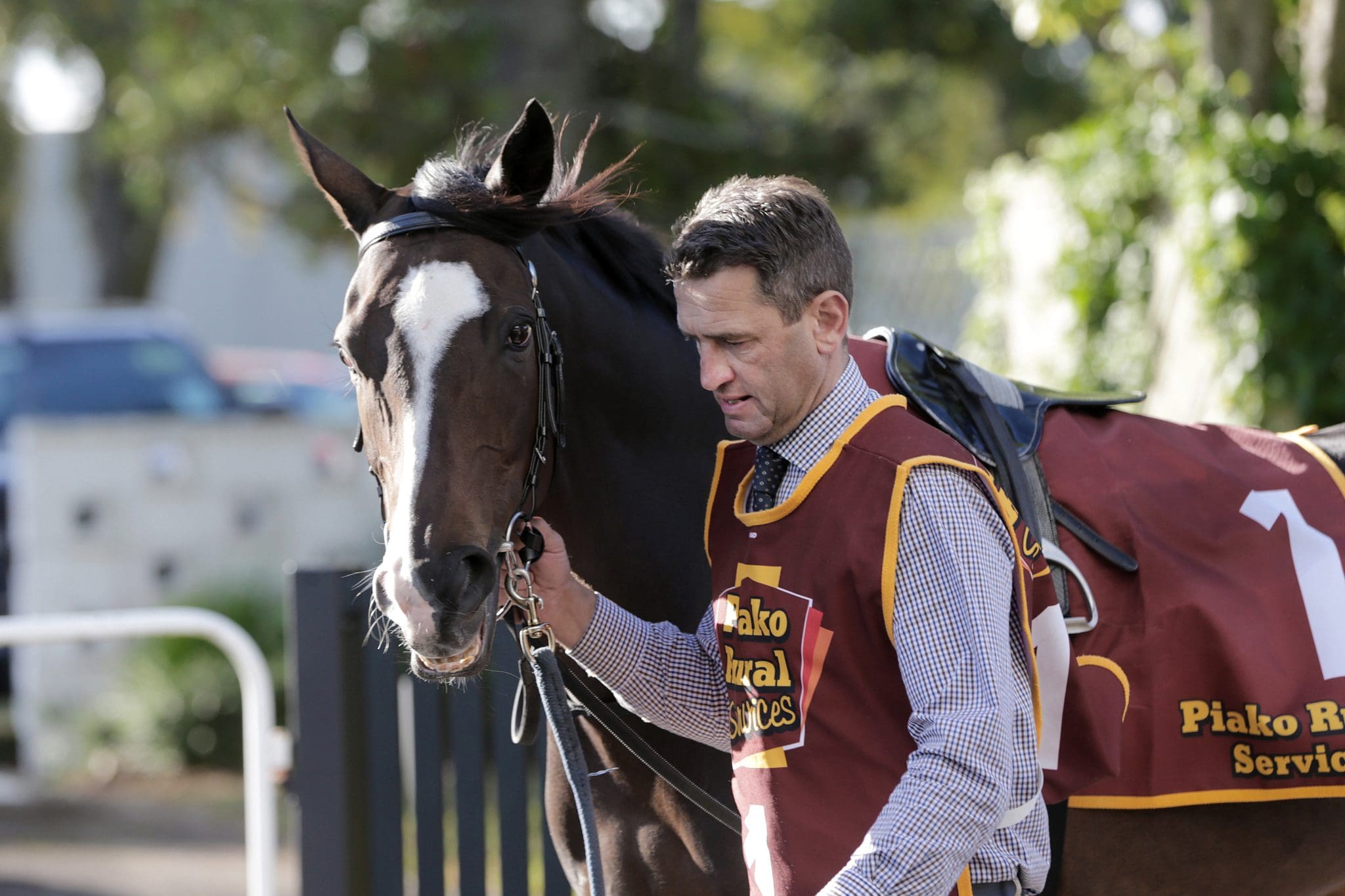 Group 1 Winning Mare Coventina Bay Set To Be Retired