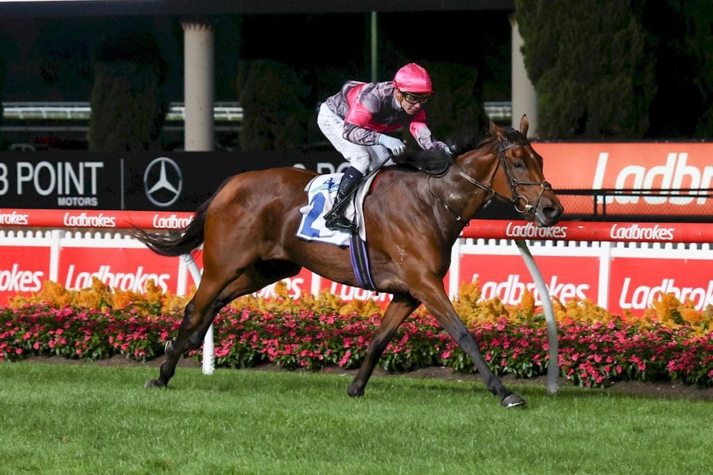 Symon Wilde stables looking at Queen Of The Turf for Sirileo Miss ...