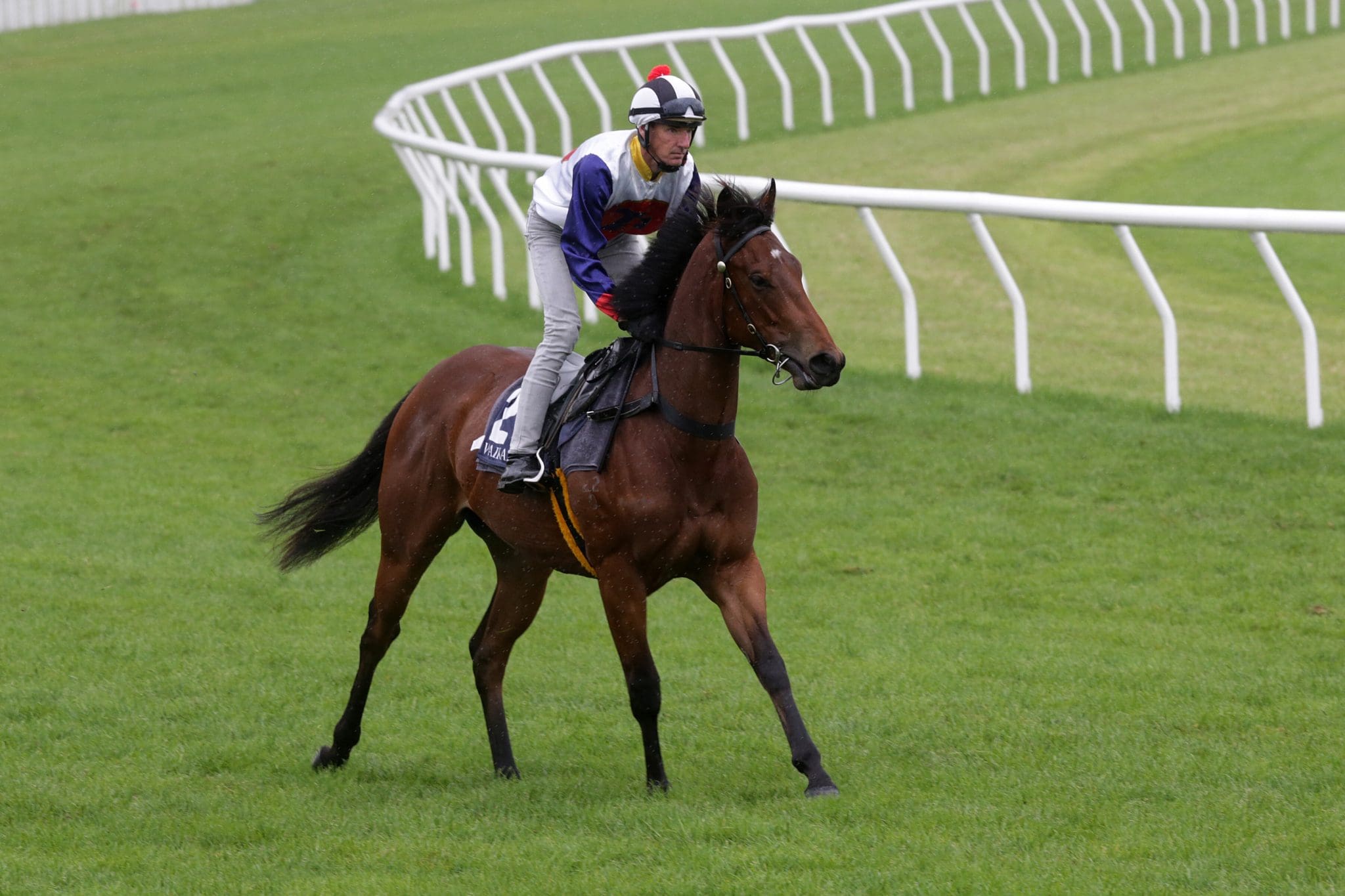 Well-Bred Filly Just A Floozie Set For Avondale Debut