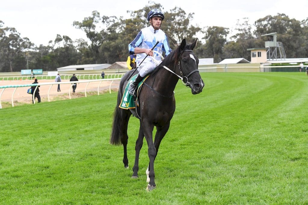 Foxy Frida no certainty to line-up in Queen Of The Turf Stakes - BOAY ...