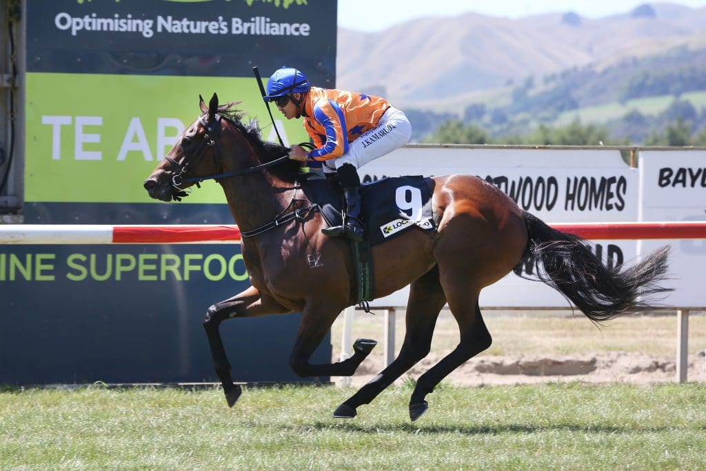 Cranbourne Race Club | News | Tips | Major Races | How To Bet
