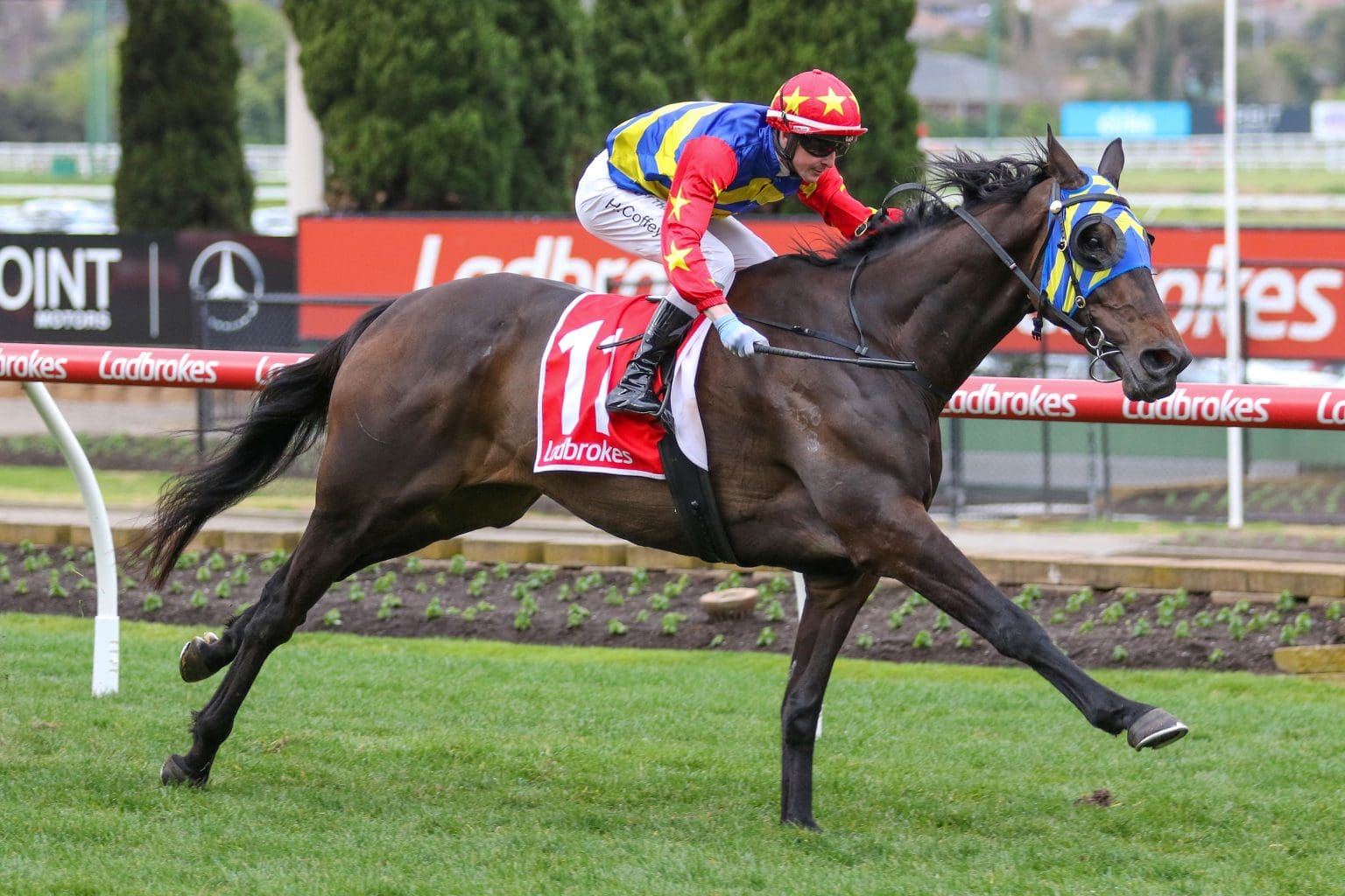 Harry Coffey Special Helps Duke Of Hastings To Moonee Valley Win