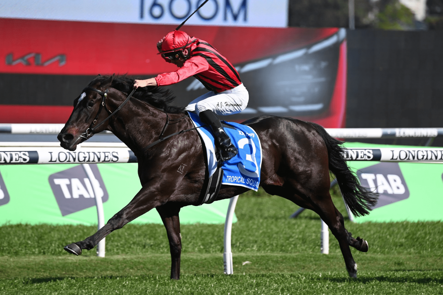 Ethereal Stakes field headed by Flight Stakes winner - BOAY Racing News ...