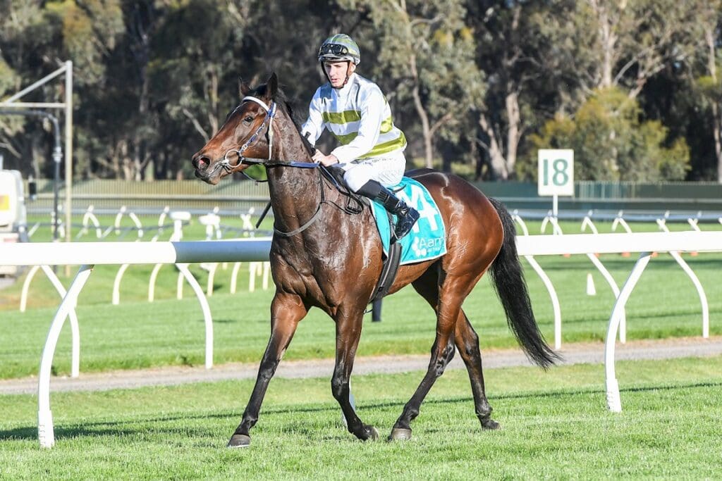 Skybird blows her rivals away in Tobin Bronze triumph - BOAY Racing ...