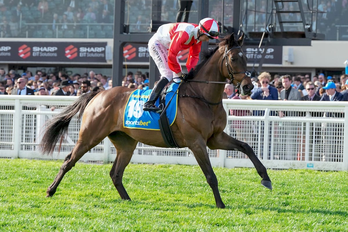 Can Fancy Man Win The 2024 Melbourne Cup? | Form | Best Odds