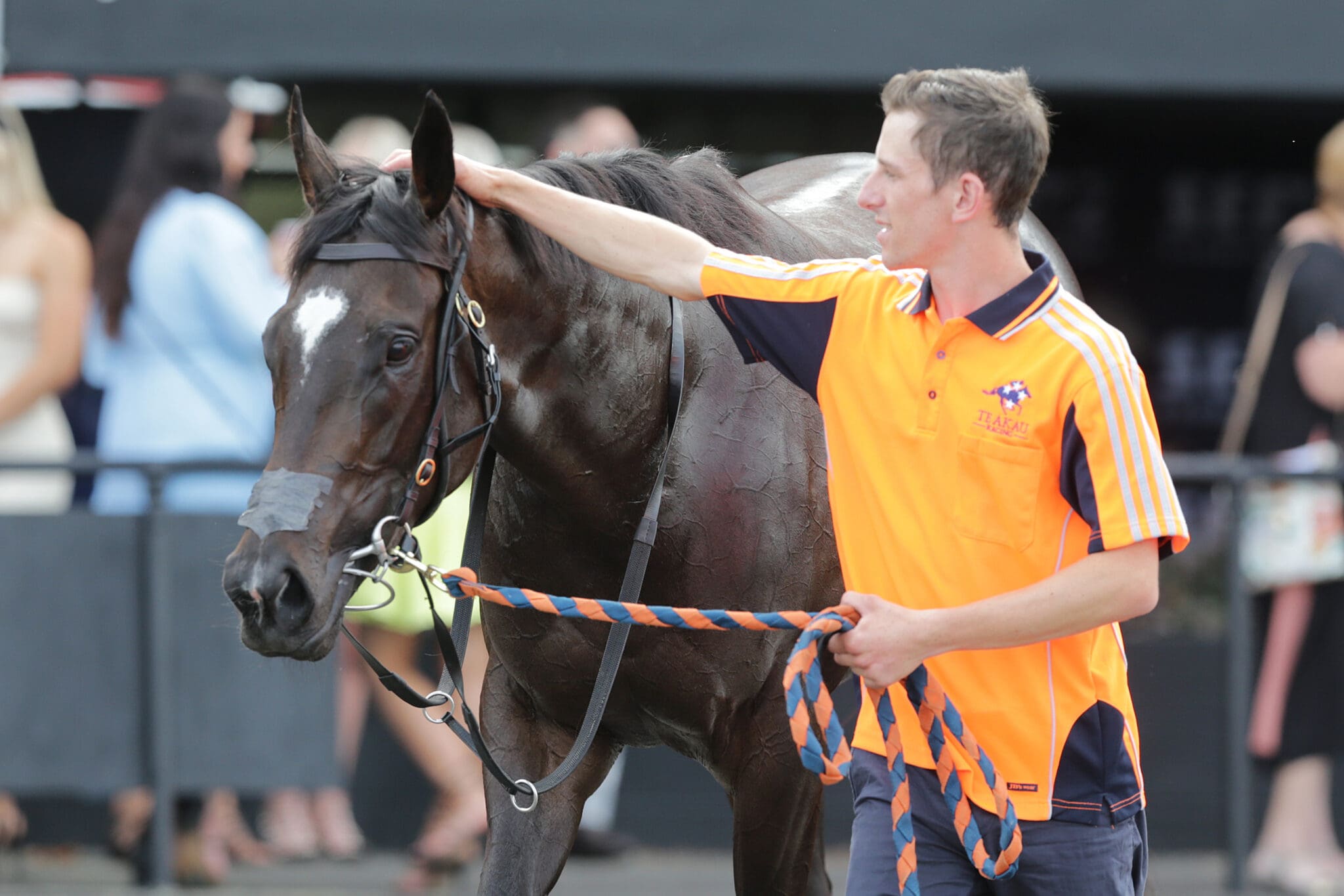 Te Akau Racing Set To Have Several Runners At Riccarton
