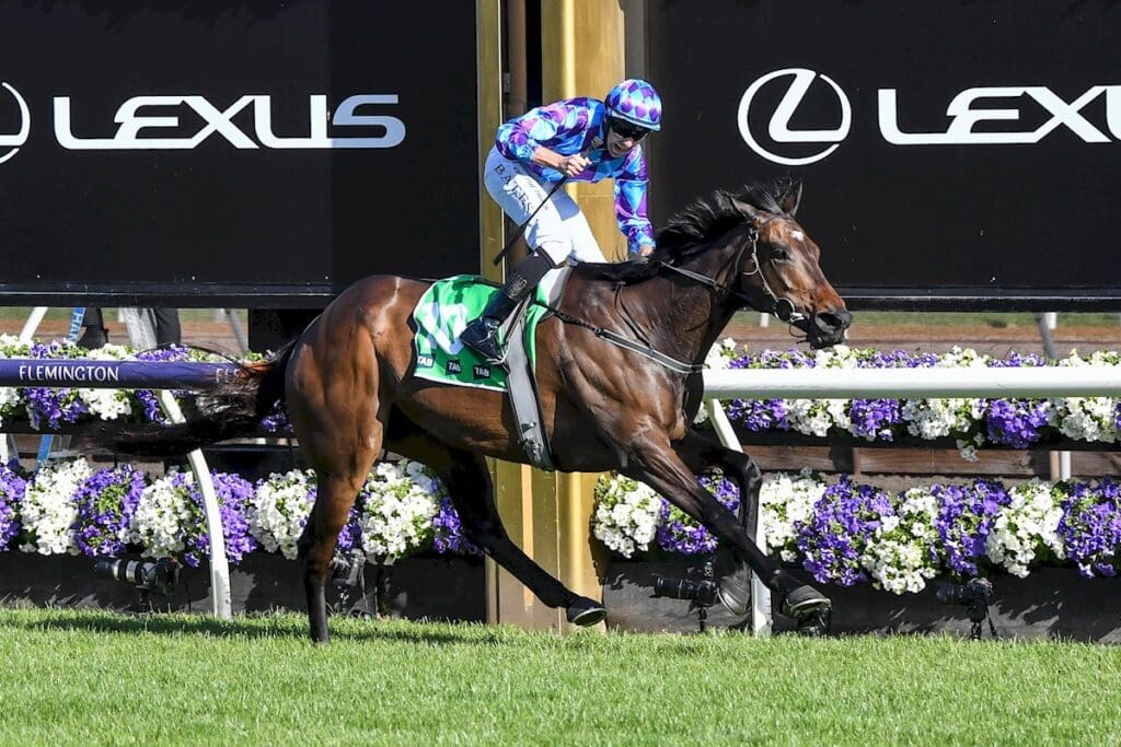 Global Horse Racing News | Latest Racing Headlines 2024