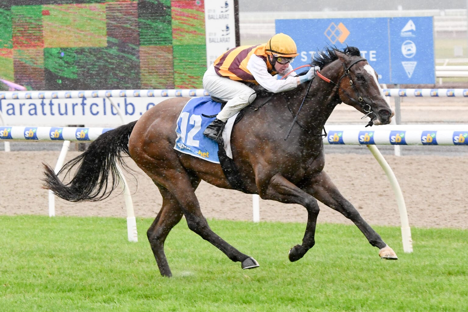 Give Giggles remains unbeaten on home track - BOAY Racing News - Bit Of ...