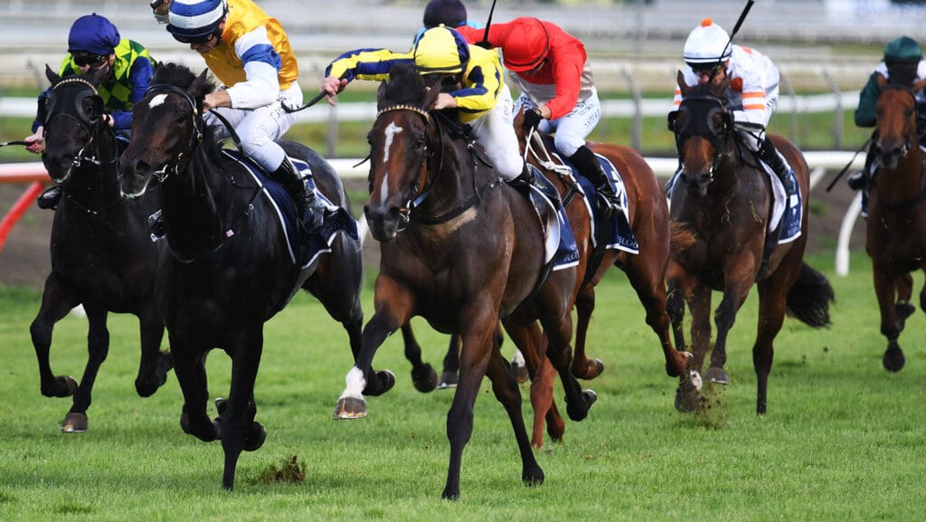 Shinn helps Molly Bloom in Eight Carat Classic - BOAY Racing News - Bit ...