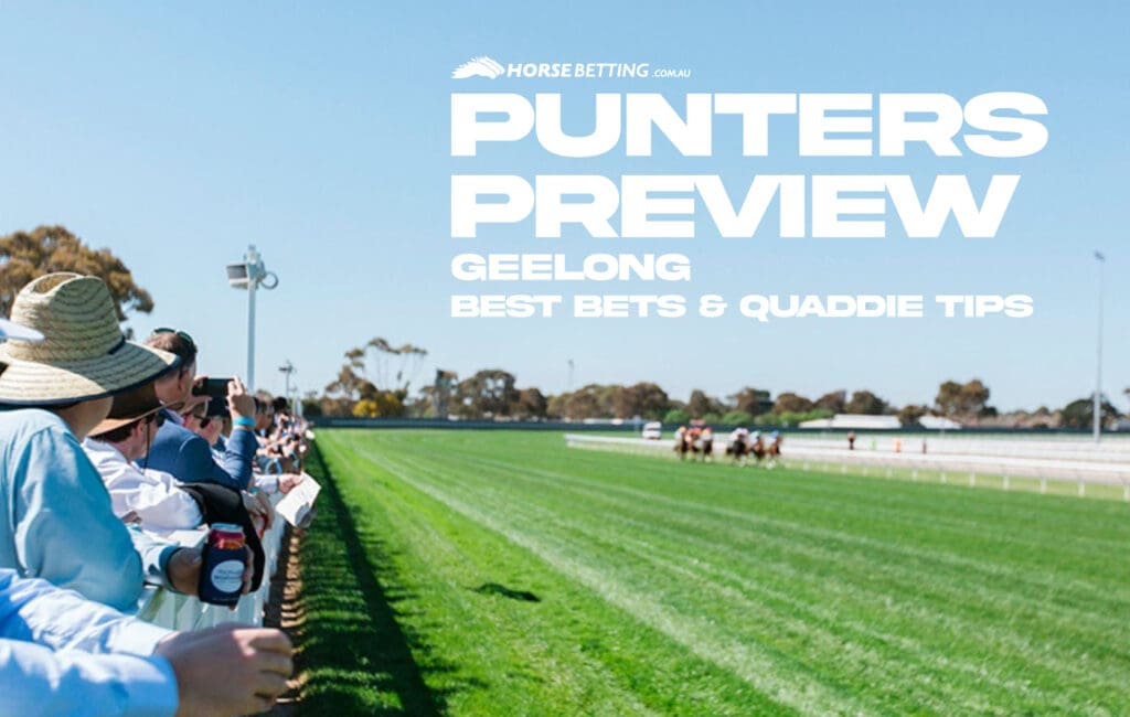 Geelong Cup Day 2024 betting tips & quaddie | Wednesday 23/10 - BOAY ...