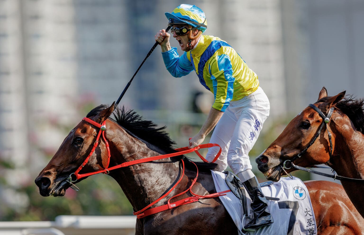 Massive Sovereign rises for Champions & Chater Cup - BOAY Racing News ...
