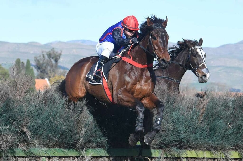 Torque Time set for Hawke’s Bay Steeplechase tilt - BOAY Racing News ...