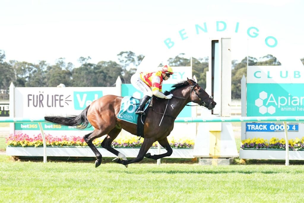 Coco Sun and Jamie Kah dominate Group 1 SA Derby - BOAY Racing News ...