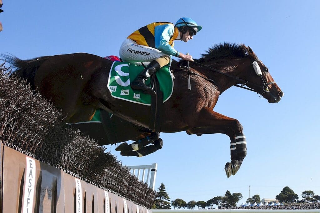 Count Zero causes Grand Annual boilover - BOAY Racing News - Bit Of A Yarn