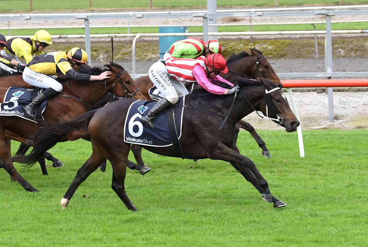 Deebee Bellfer Out To Continue Her Winning Ways At Te Rapa