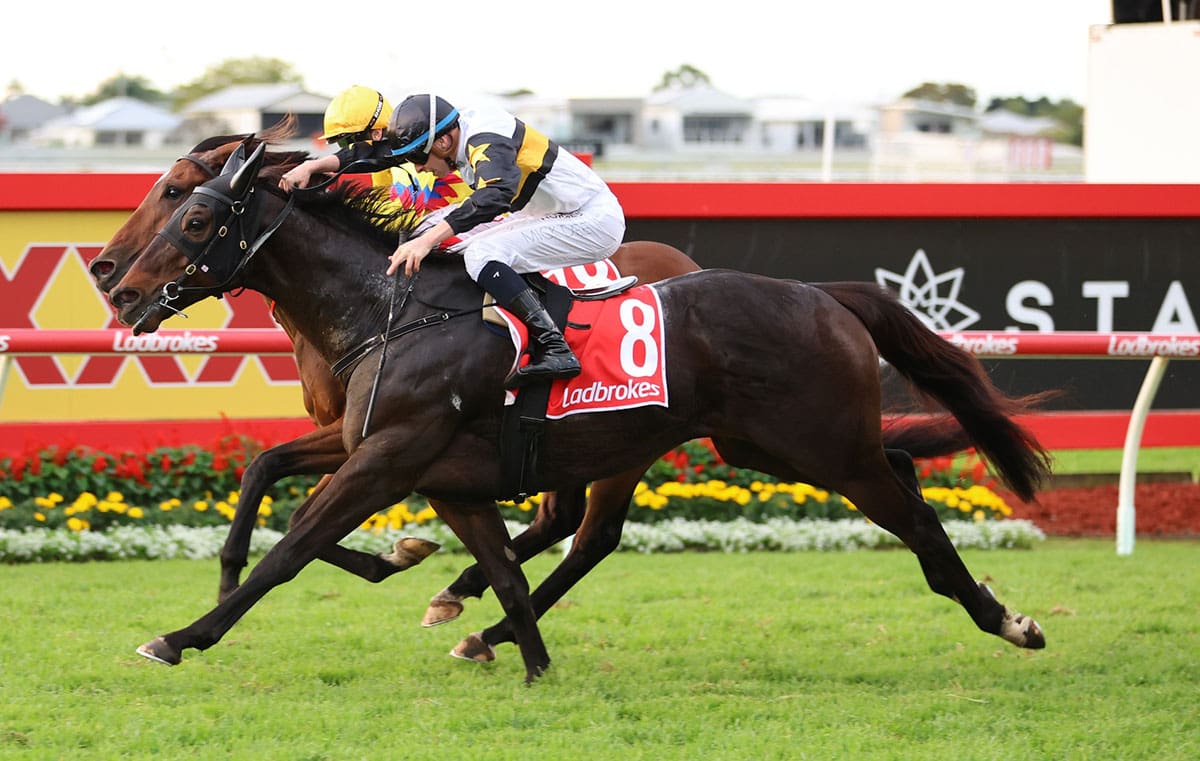 Here To Shock Defeats Freedom Rally In BRC Sprint Triumph