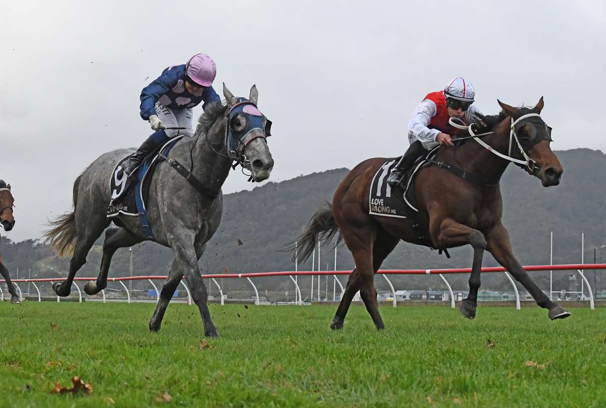 Shaun Fannin Records Big Weekend As Trainer & Jockey