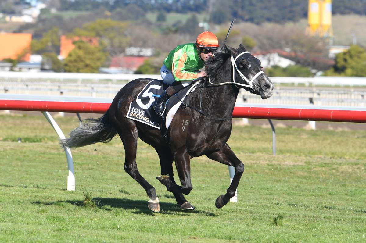 Pleasing Will Make Her Debut At New Plymouth On Saturday