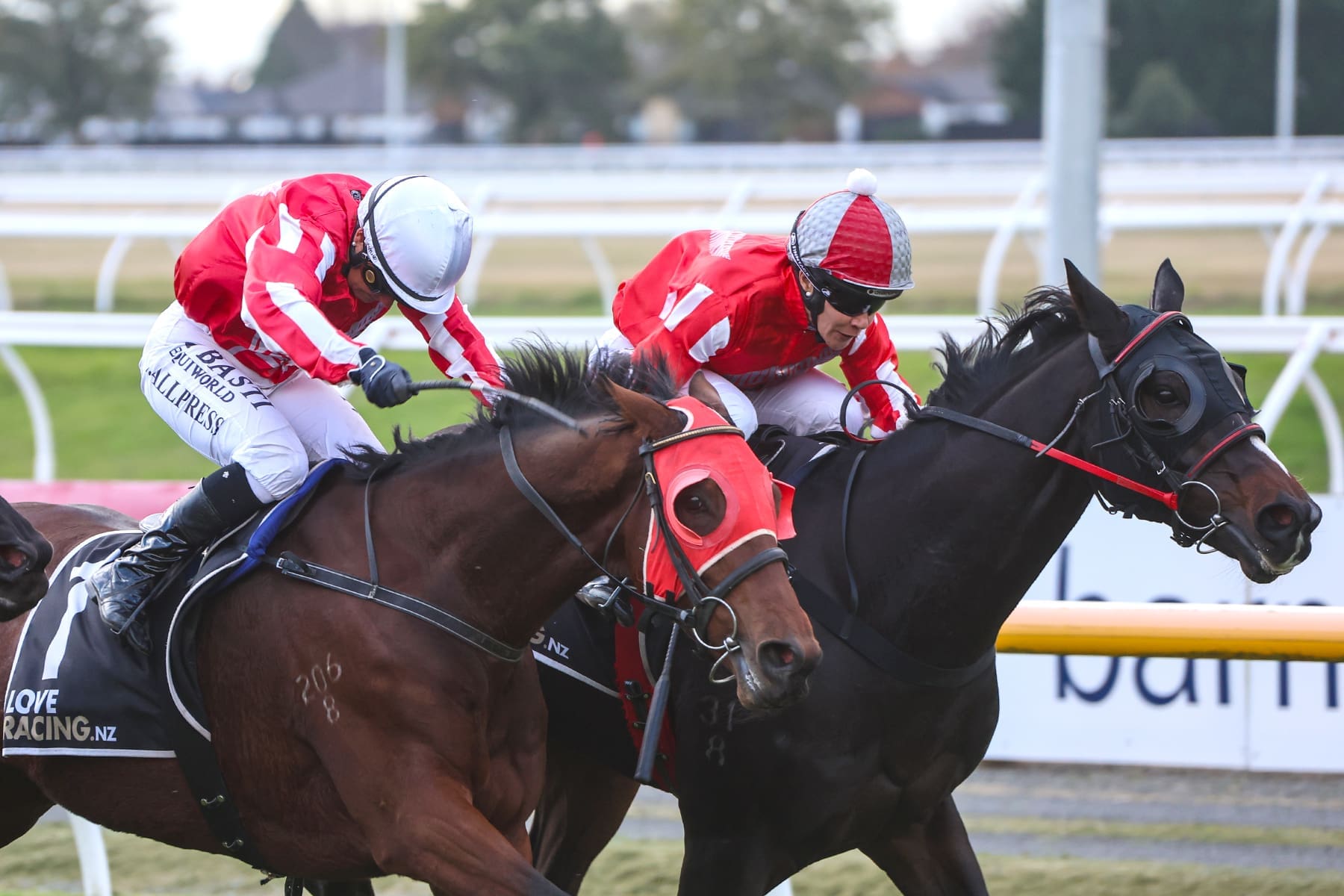 Star Ballot Gets The Better Of Stablemate To Claim Founders Cup