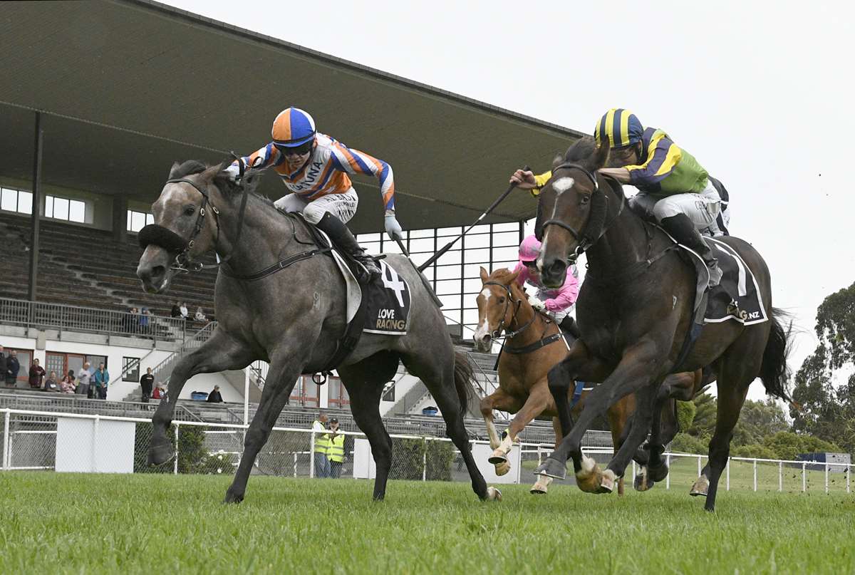 Star Shadow Ready For Champagne Stakes Test At Pukekohe