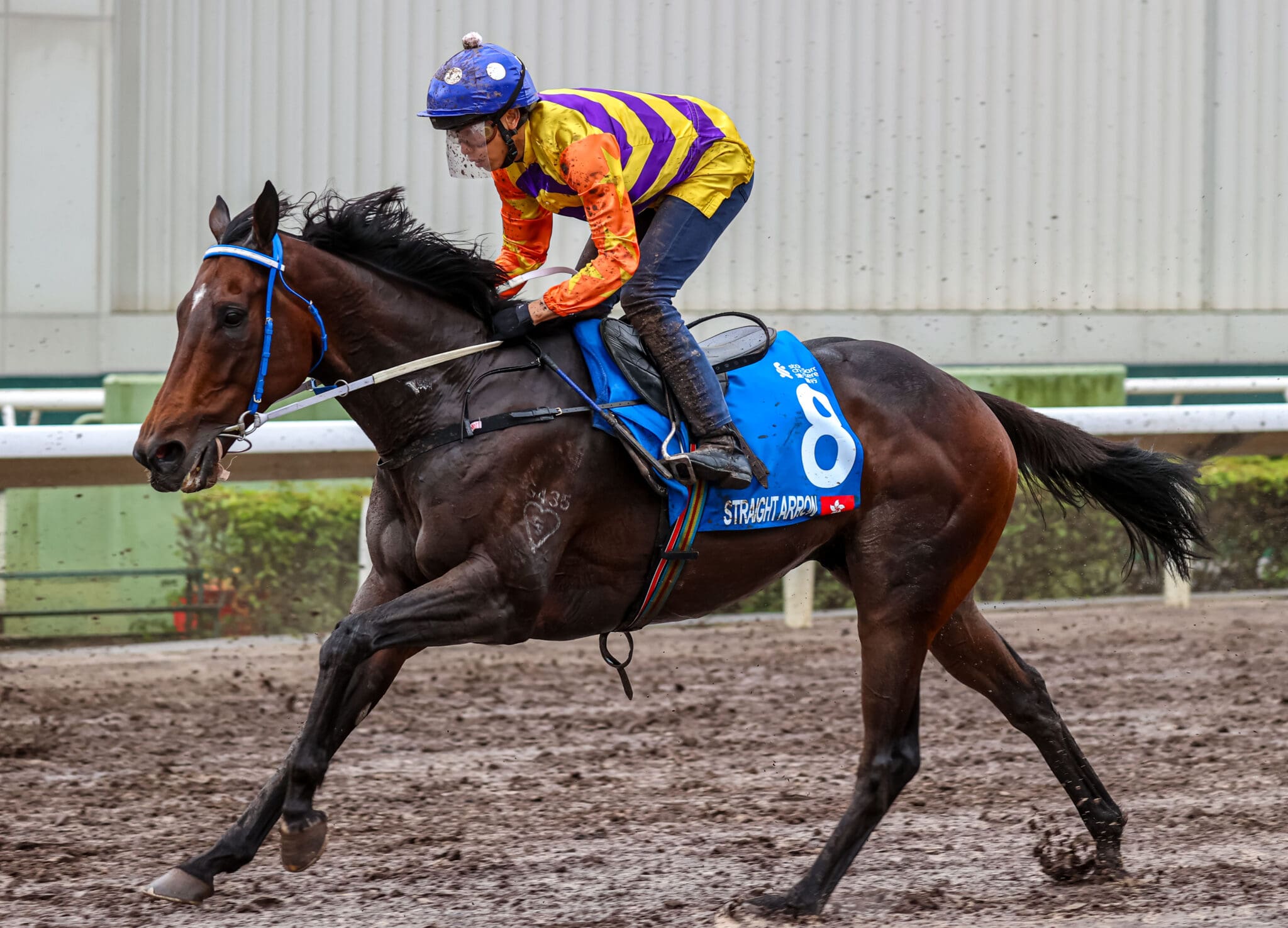 Straight Arron Ready For Champions & Chater Cup At Sha Tin