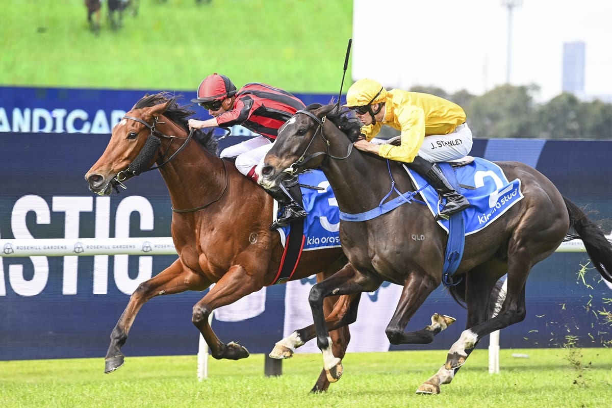 Amberite Digs Deep To Claim Impressive Rosehill Victory
