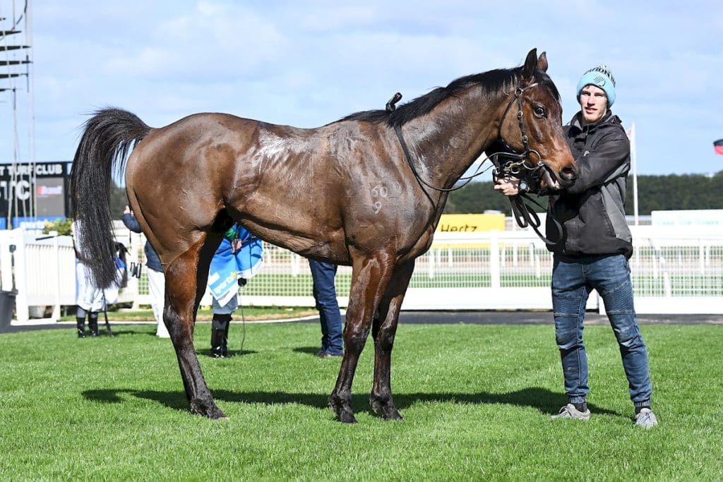 Doc O’Connor too quick in Darwin, Palmerston Sprint start unlikely ...