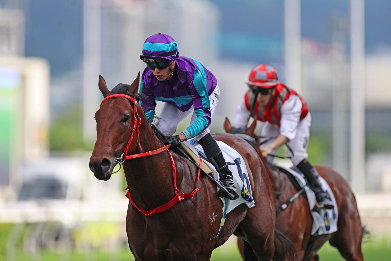 Dream Winner returns in quality dash at Happy Valley - BOAY Racing News ...
