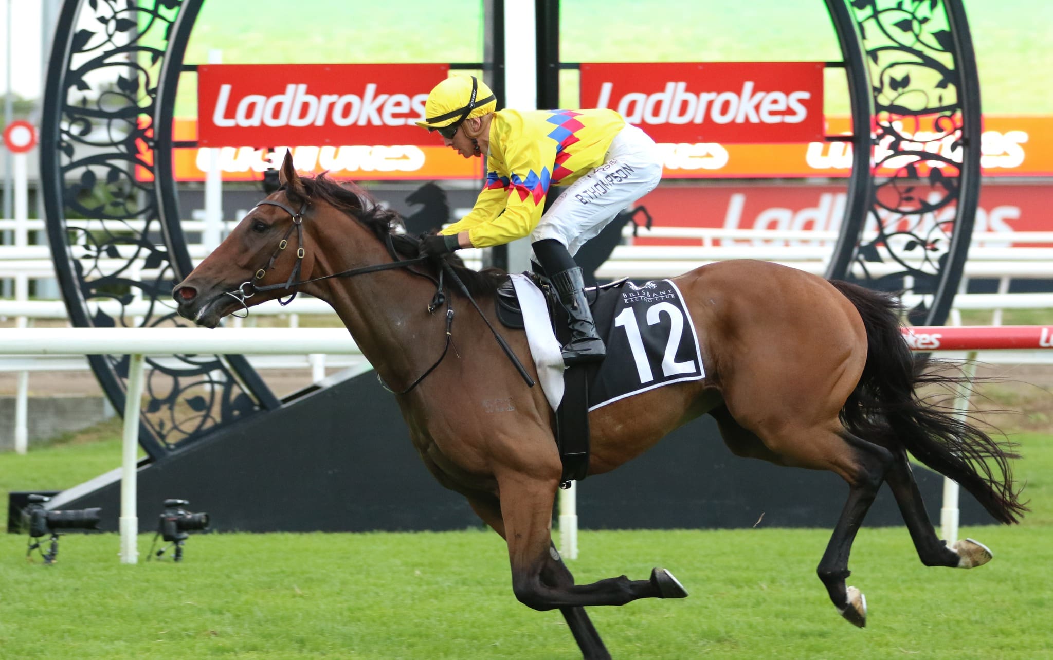 Freedom Rally First Emergency In Group 1 Stradbroke Handicap
