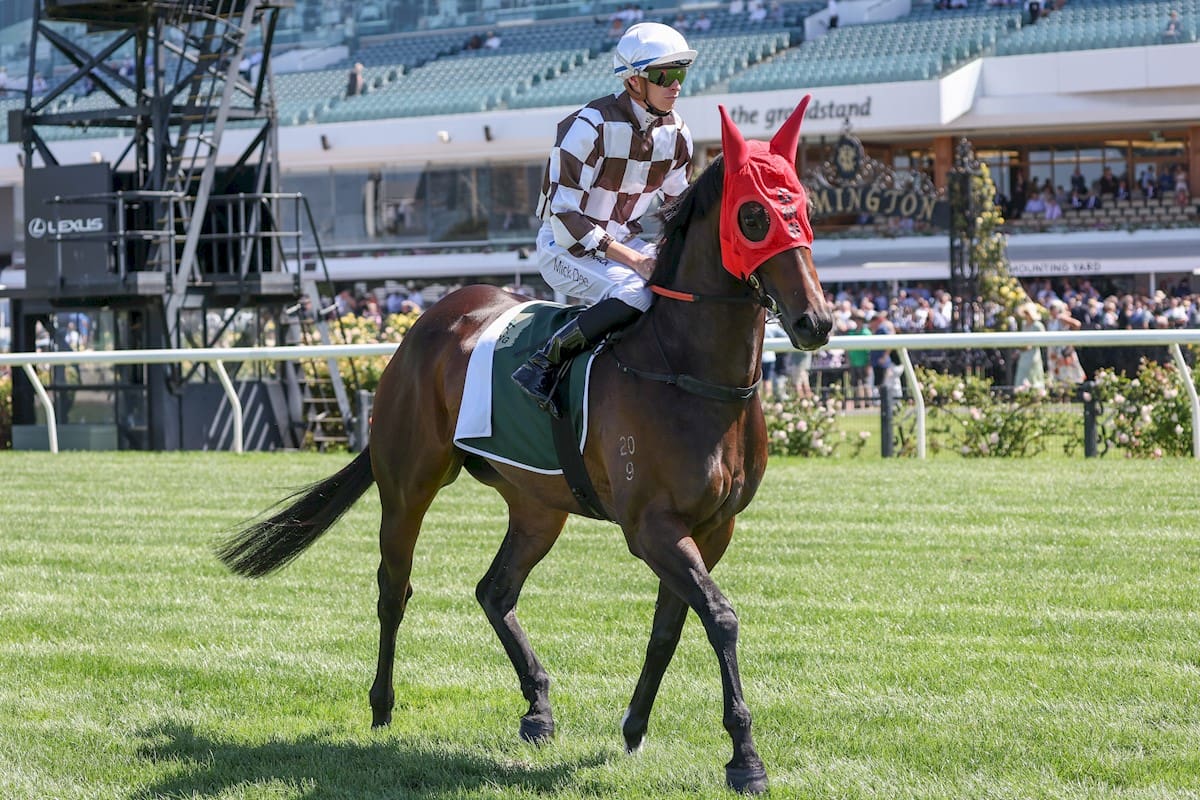 Begg targeting more Group 1 success with Magic Time – BOAY Racing News