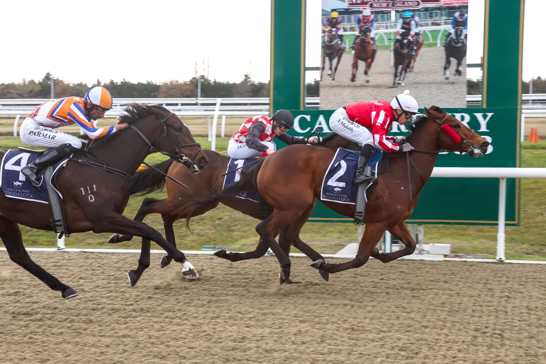 Pitman's Enjoy Further Success On Riccarton Synthetic