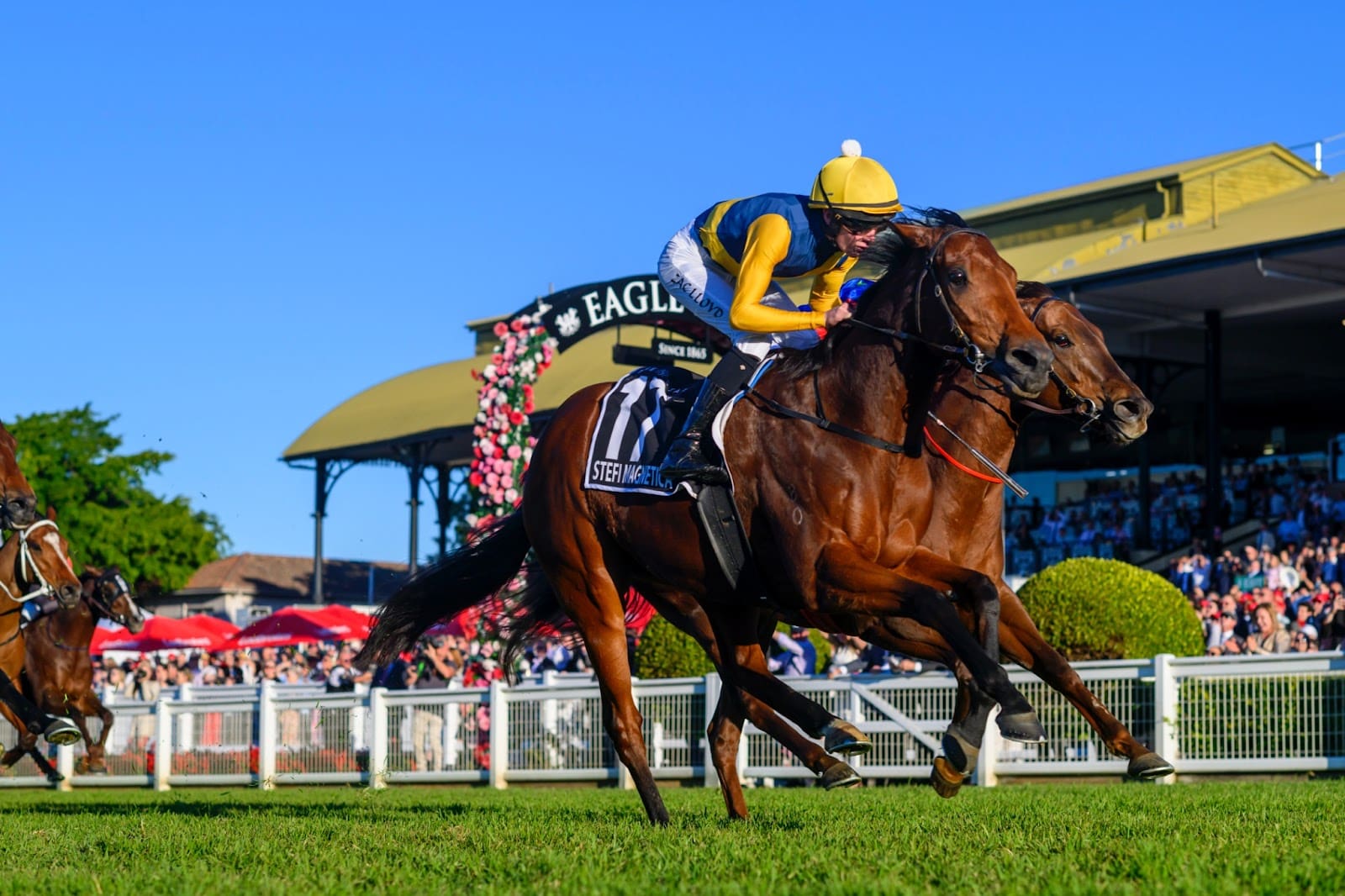 Zac Lloyd Steers Stefi Magnetica To Stradbroke Handicap Glory