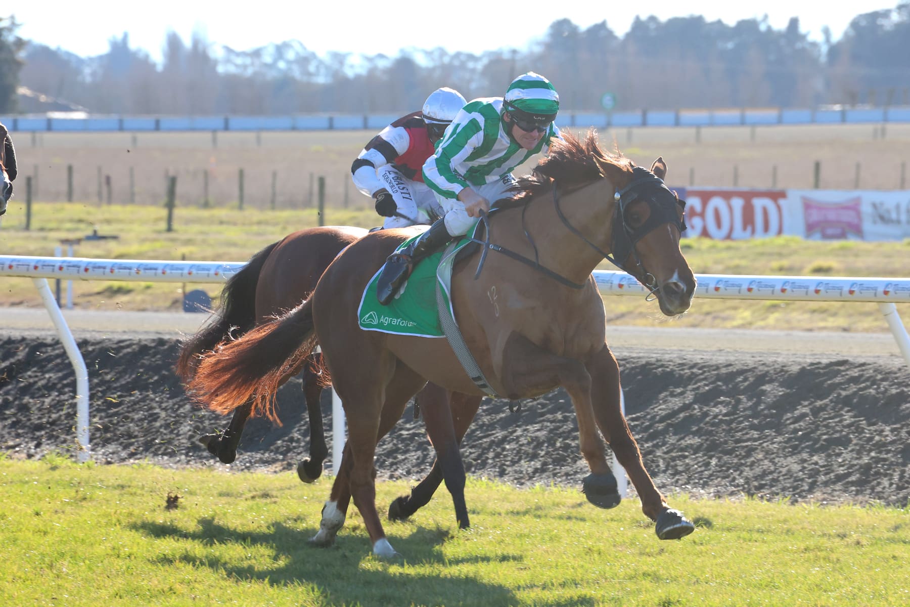 Nikki White's Balzano Makes Winter Cup Impression At Ashburton