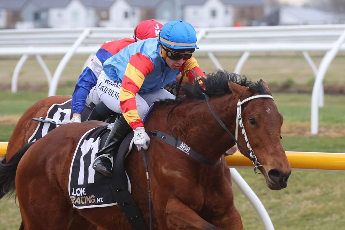 Didham's Chairman Looking To Extend Winning Streak At Riccarton