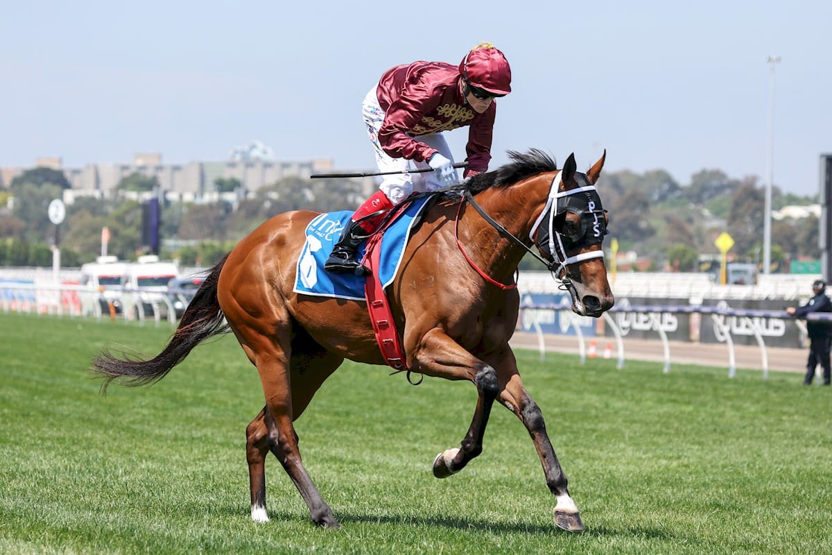 Climbing Star Aims for The Everest; Stokes Preps Stretan Angel