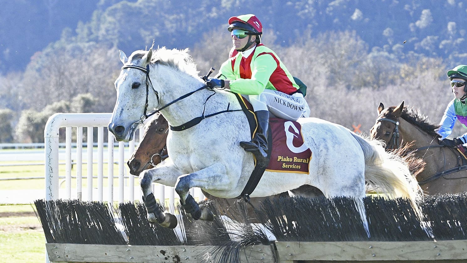 Helena Baby To Step Up Preparation Towards Great Northern Hurdles