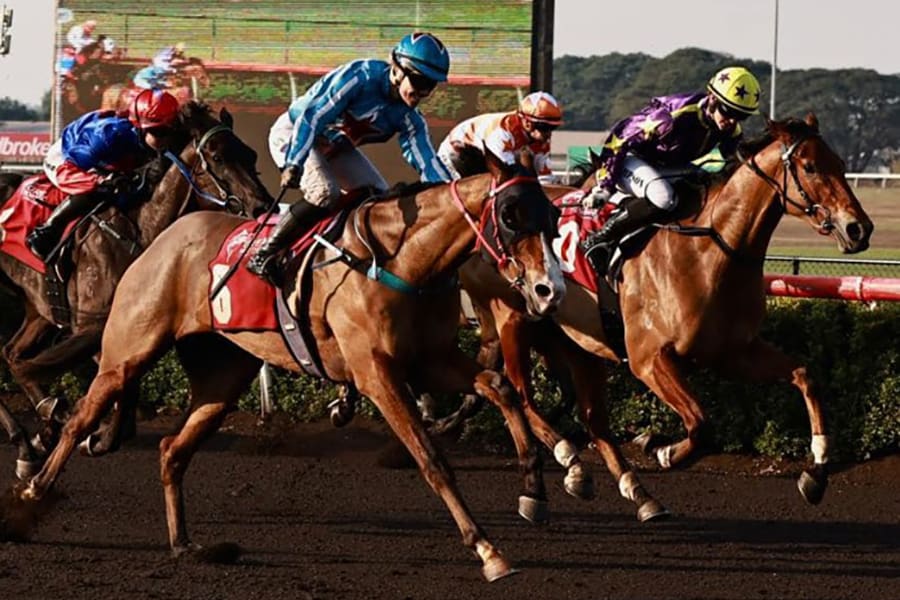 Sonja Logan Partners With He's Maverick To Claim Darwin Guineas