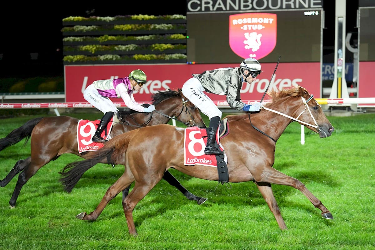 Racing Victoria Set To Investigate Clinton McDonald & Luke Oliver