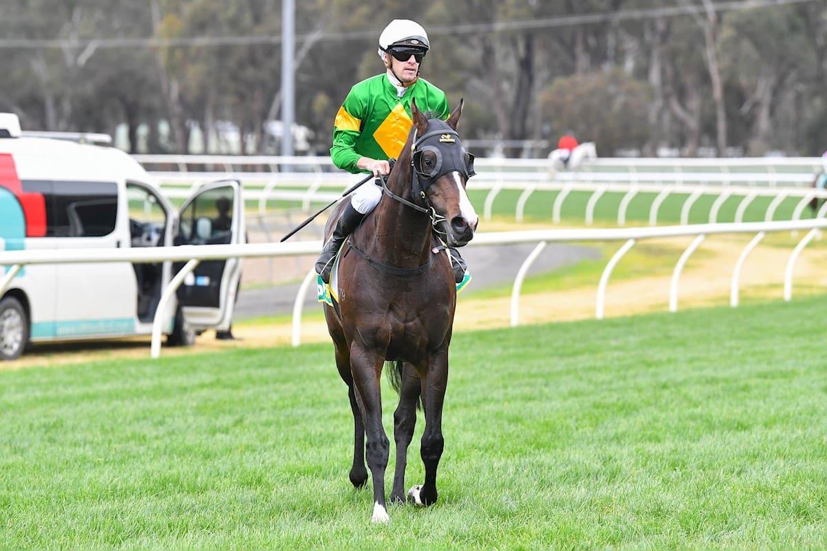 Jordan Childs Hits 100 Victorian Winners for the Season