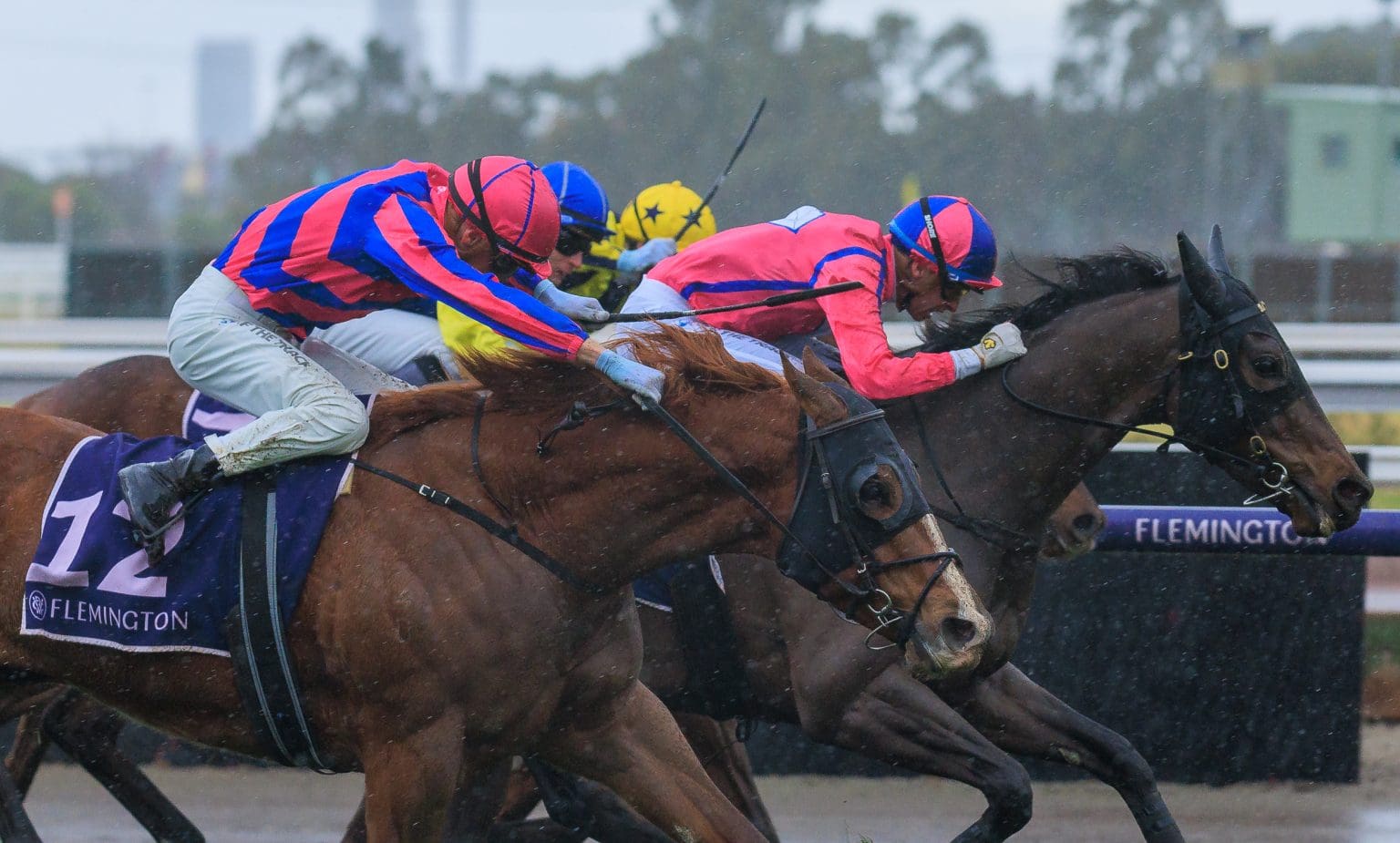Liberami charges to Flemington success – BOAY Racing News