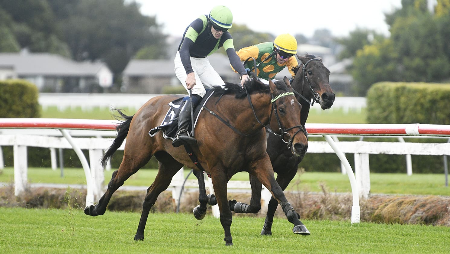 Shaun Phelan Takes Out Te Rapa Hurdle Feature With Pacheco