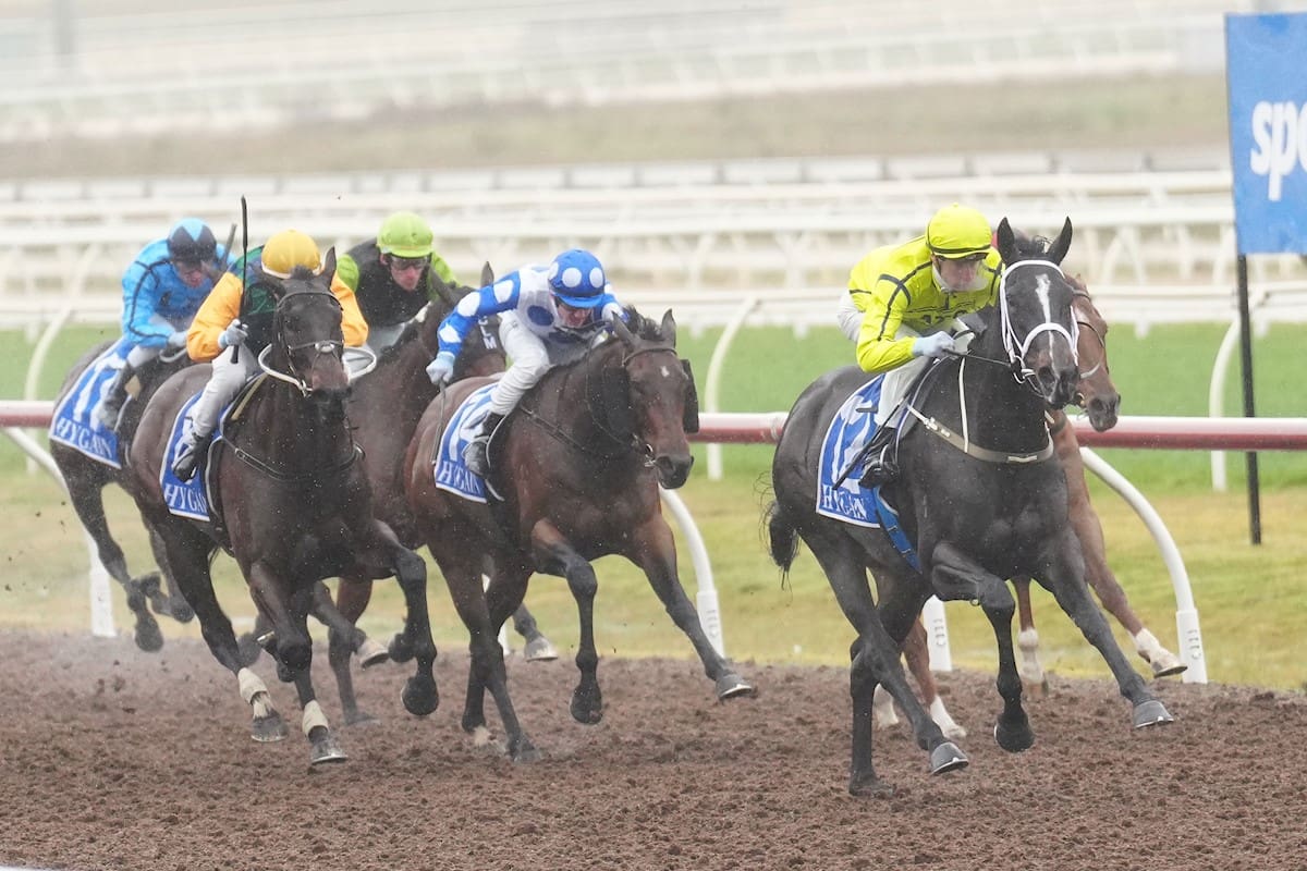 Cranbourne Races Moved to Pakenham Synthetic Track