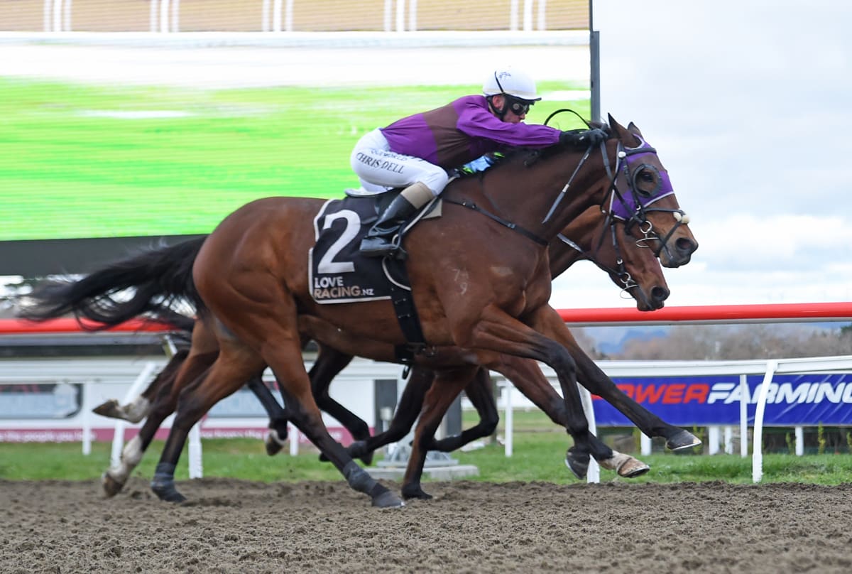 Sir Mikki Headlines Lisa Latta's Four Winners At Awapuni