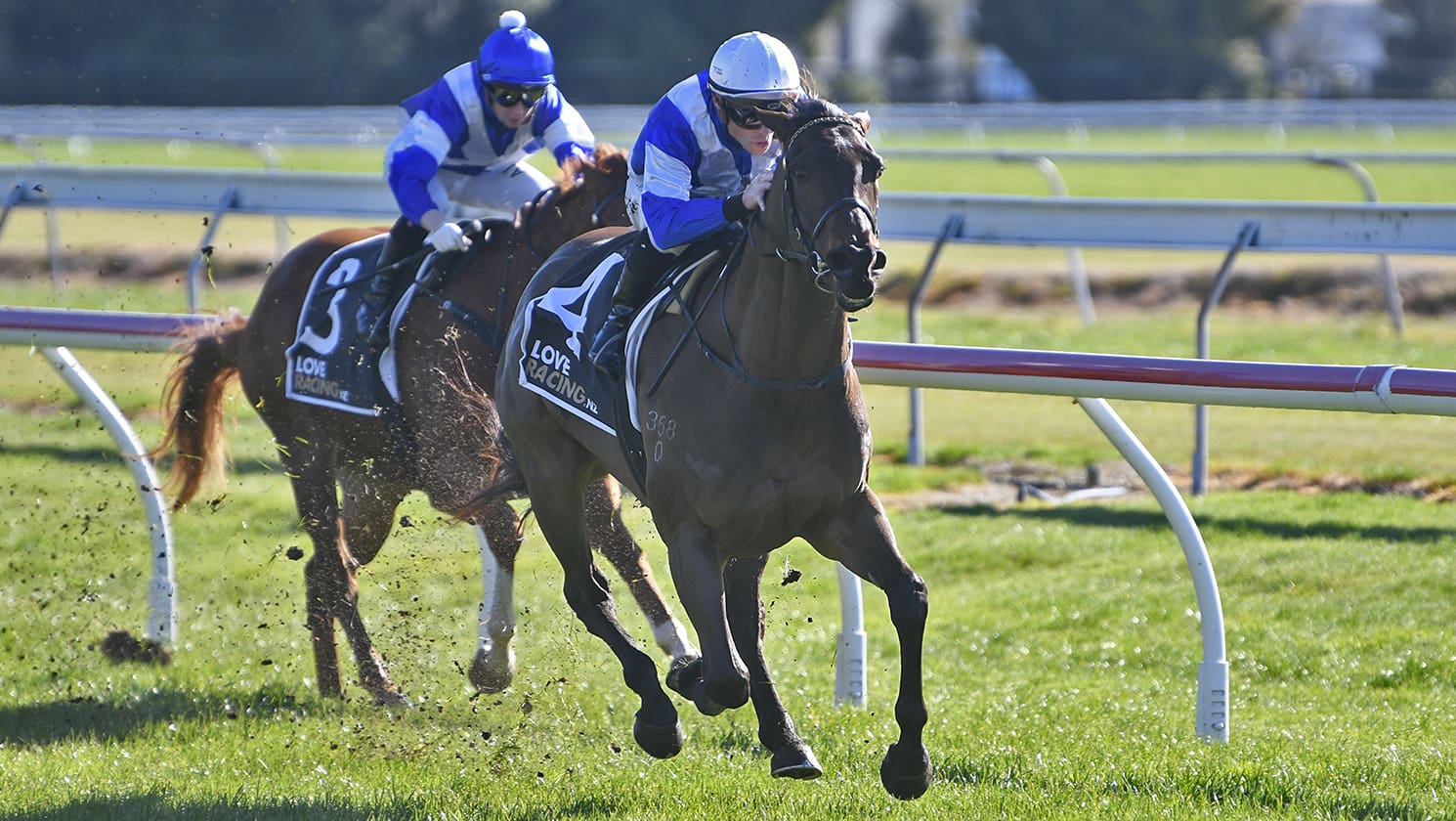 Debbie Sweeney's Willit Makes Winning Debut At Arawa Park