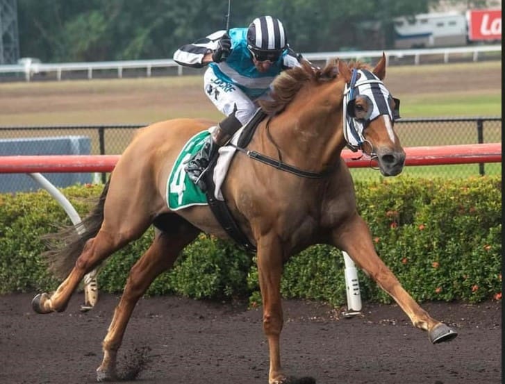 Trainer Gary Clarke Dominates 2024 Top End Racing Awards