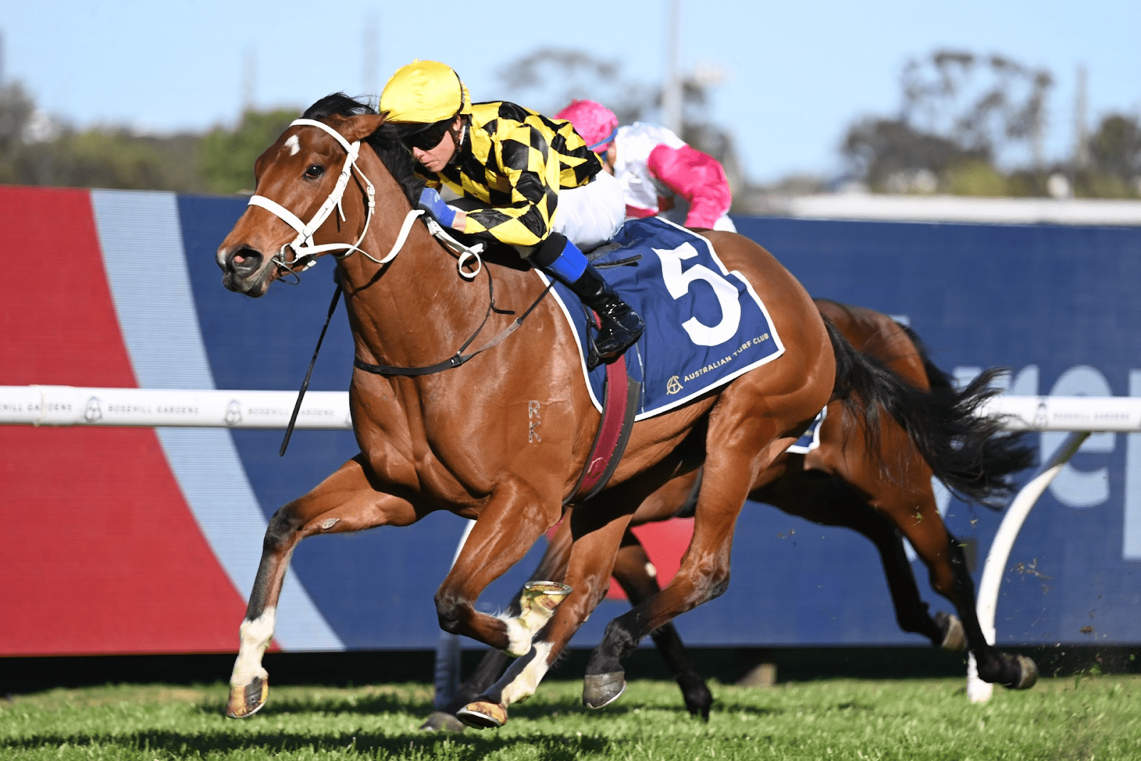 Autumn Glow Surges Clear With Up And Coming Stakes Success