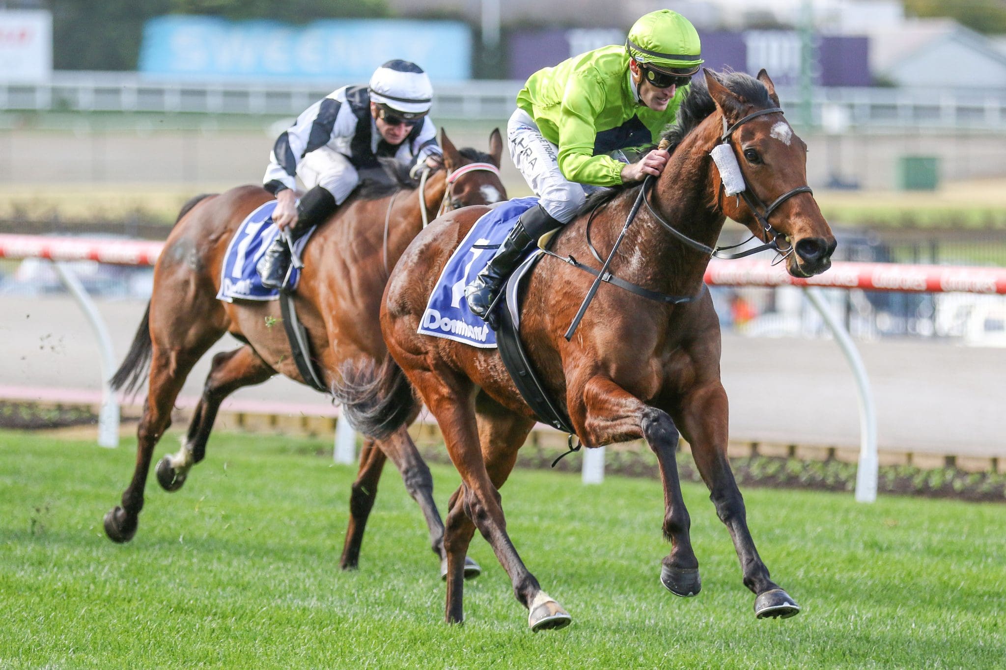 Dashing Duchess Targets Archer Stakes For Melbourne Cup Spot