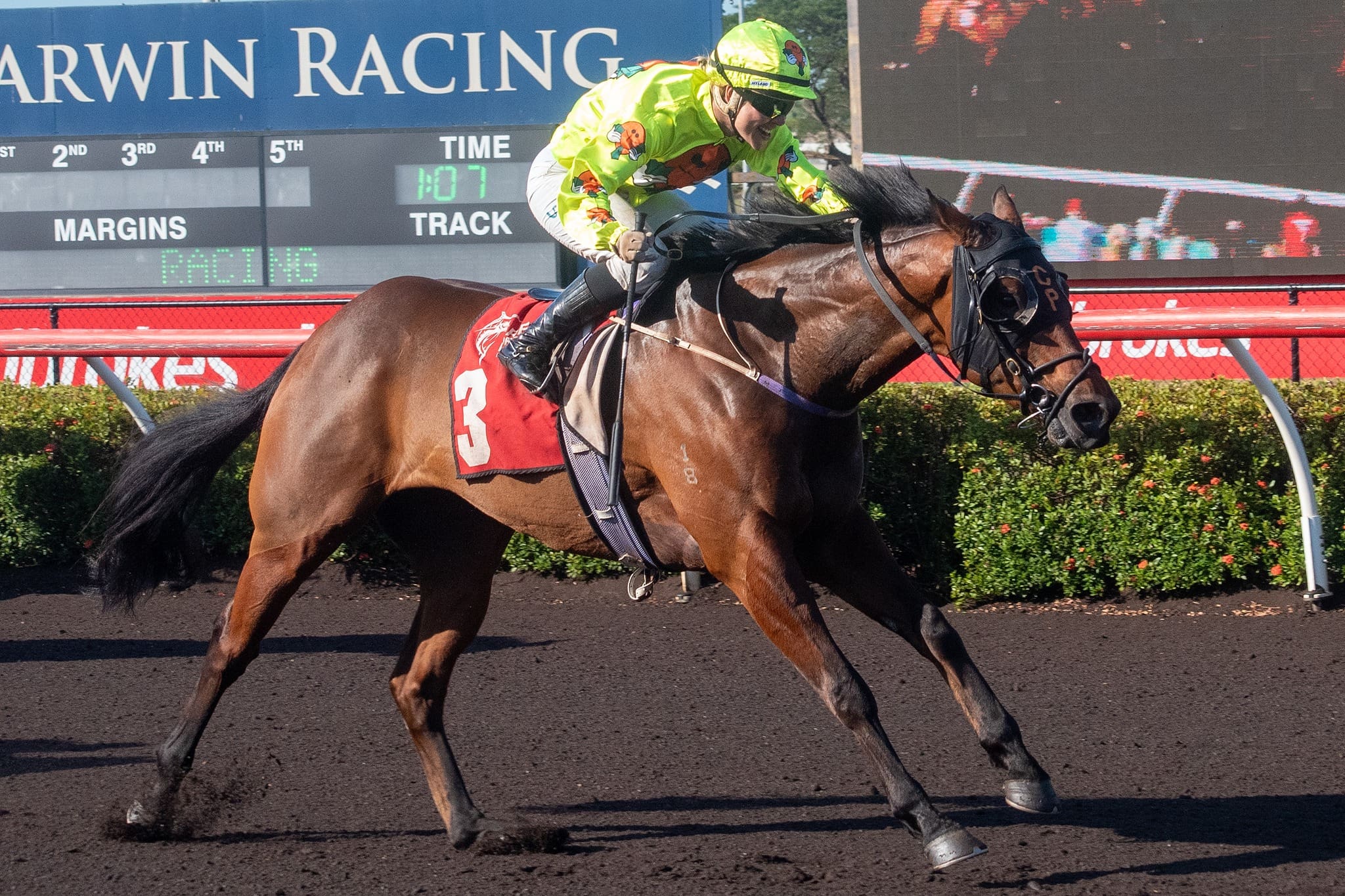 Early Crow Storms To Victory In Palmerston Sprint At Fannie Bay