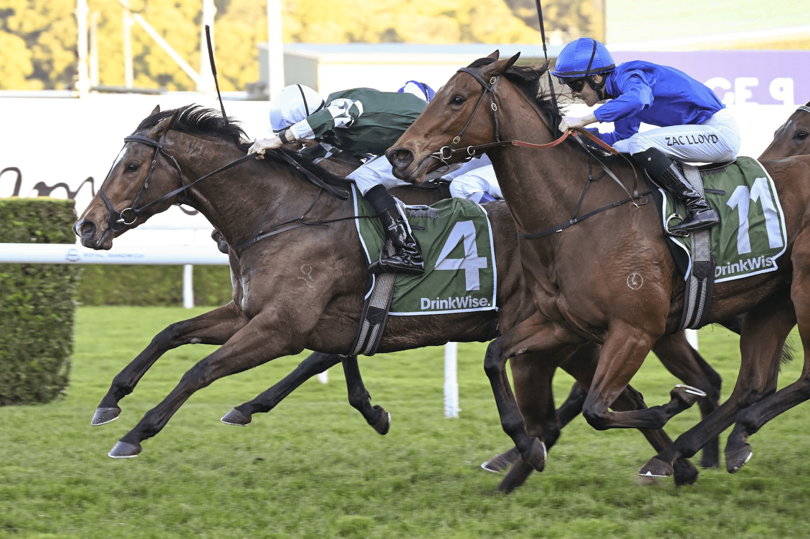 Kimochi Proves Too Strong For Her Toy Show Quality Rivals